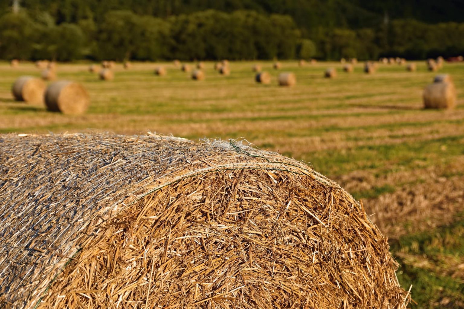 Stro als isolatie laten inblazen in Limburg of Brabant?